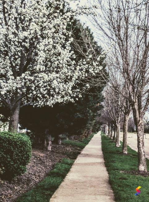 Define Walkway, Walkway Meaning, Walkway Examples, Walkway Synonyms ...