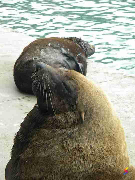 Define Tarry, Tarry Meaning, Tarry Examples, Tarry Synonyms, Tarry ...