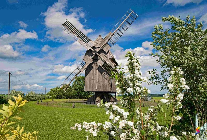 Define Mill, Mill Meaning, Mill Examples, Mill Synonyms, Mill Images ...