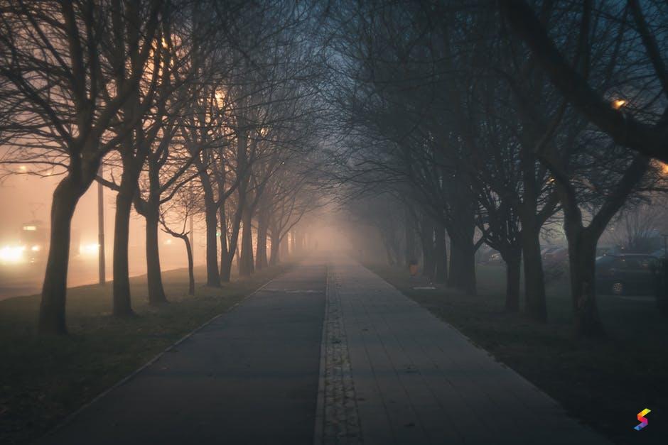 Define Walkway, Walkway Meaning, Walkway Examples, Walkway Synonyms ...