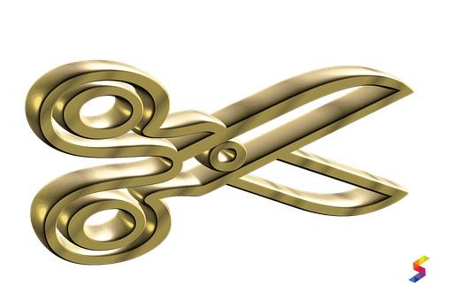 Define Snip, Snip Meaning, Snip Examples, Snip Synonyms, Snip Images ...