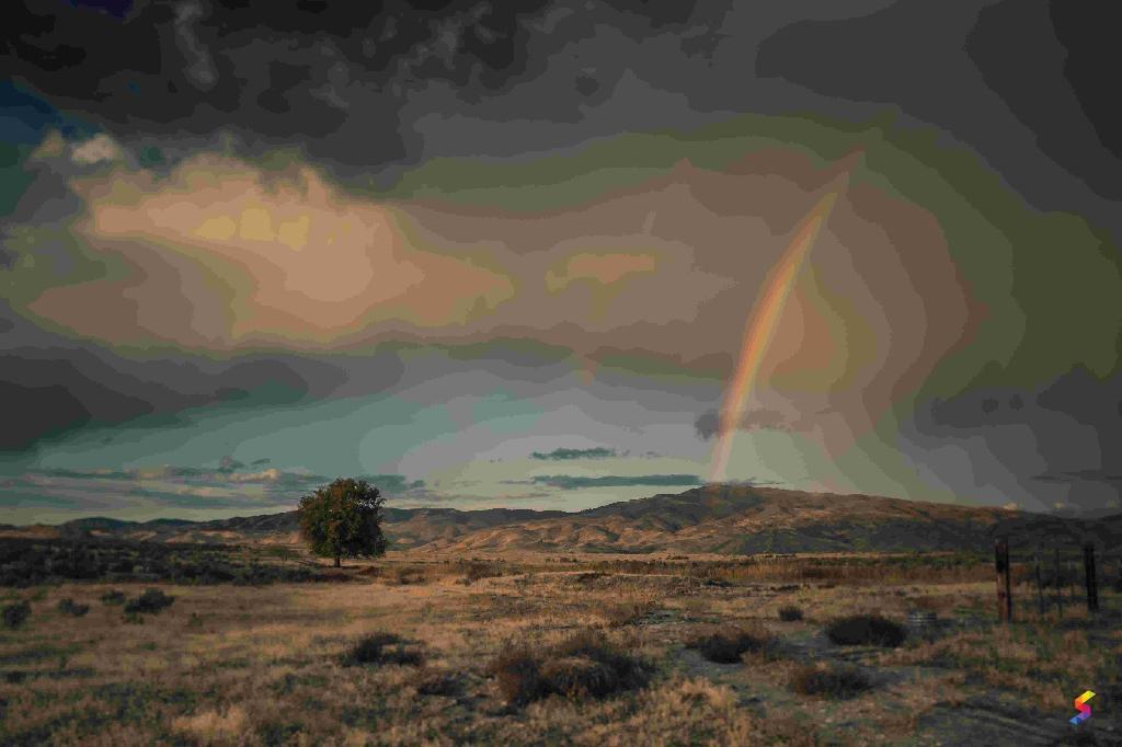 Define Prairie, Prairie Meaning, Prairie Examples, Prairie Synonyms ...