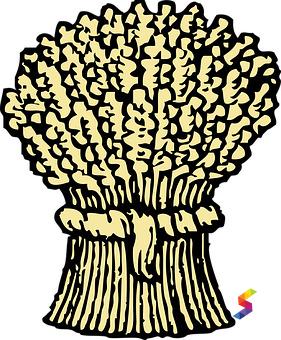 Define Sheaf, Sheaf Meaning, Sheaf Examples, Sheaf Synonyms, Sheaf ...