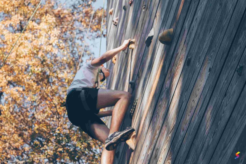 Define Climb Climb Meaning Climb Examples Climb Synonyms Climb Define Climb Climb Meaning Climb Examples Climb Synonyms Climb