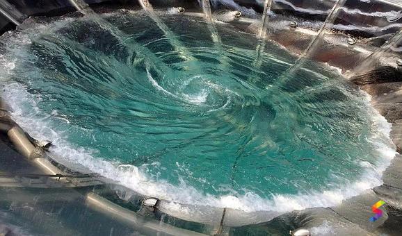 Define Whirl, Whirl Meaning, Whirl Examples, Whirl Synonyms, Whirl ...