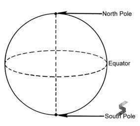 Define Equator, Equator Meaning, Equator Examples, Equator Synonyms ...