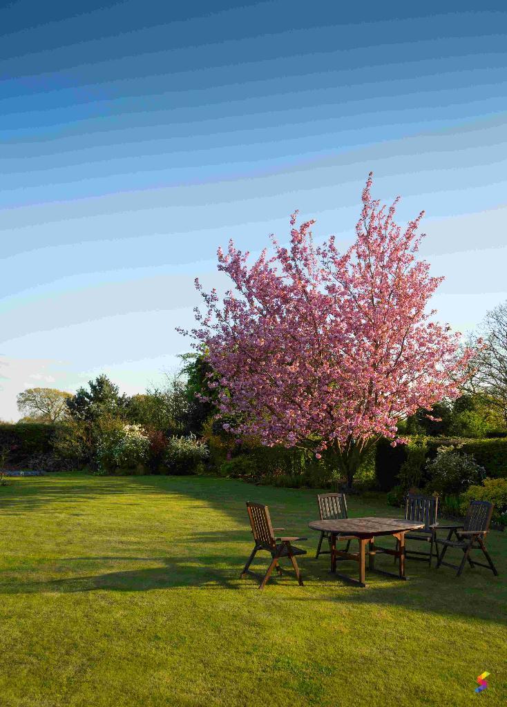 Define Lawn Lawn Meaning Lawn Examples Lawn Synonyms Lawn Images Define Lawn Lawn Meaning Lawn Examples Lawn Synonyms Lawn Images