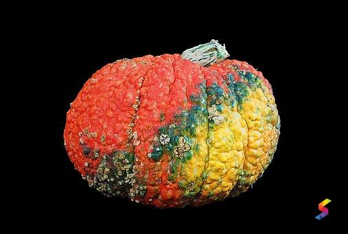 Define Disfigure, Disfigure Meaning, Disfigure Examples, Disfigure ...